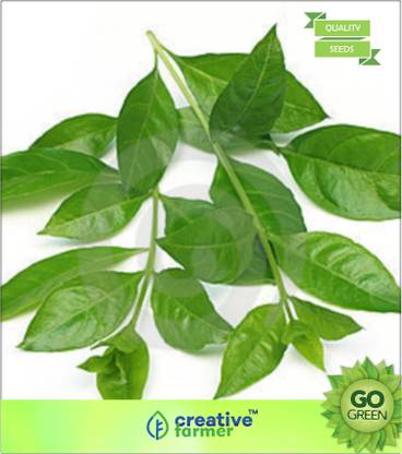 creative farmer Mehndi (Henna) Plant Seed Price in India - Buy creative ...