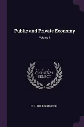 Public and Private Economy; Volume 1: Buy Public and Private Economy ...