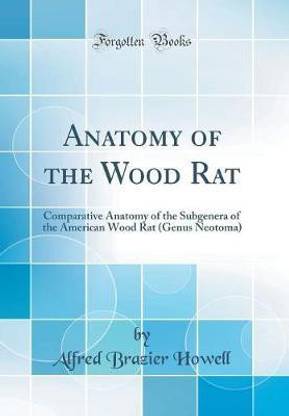 Anatomy of the Wood Rat: Buy Anatomy of the Wood Rat by Howell Alfred ...