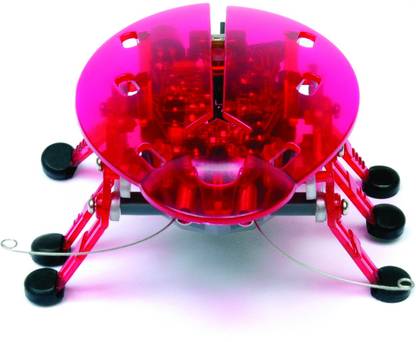 Hex-Bug Original - Original . Buy Hexbug Larva - Micro Robotic Creature ...