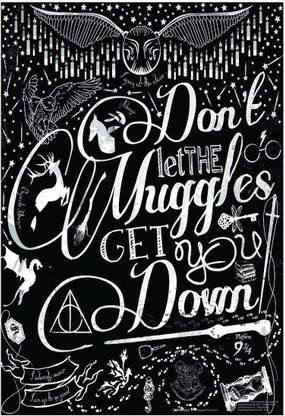 WB Official Licensed Harry Potter Dont Let The Muggles Get You Down ...