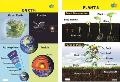 Earth Informative And Plants Informative Poster For kids Paper Print ...