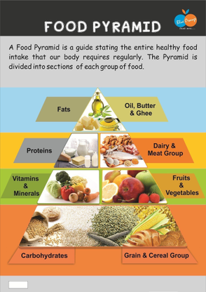 Food Pyramid Chart Poster