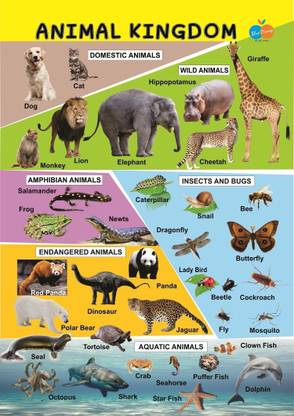 Animal Kingdom Informative Poster For kids Paper Print - Animals ...