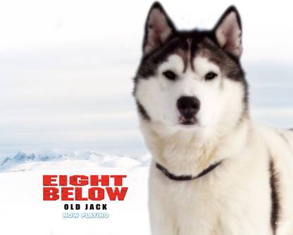 Eight Below Movie Poster