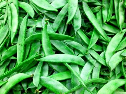 First Crop Sem vegetable Lima Beans Seed Price in India - Buy First ...