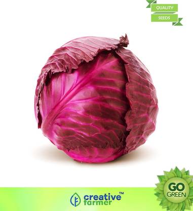 creative farmer Vegetable Seeds Kosu Seeds - Cabbage Seeds Heirloom Veg ...