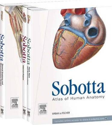 Sobotta Atlas of Human Anatomy, Package, 15th ed., English/Latin: Buy ...