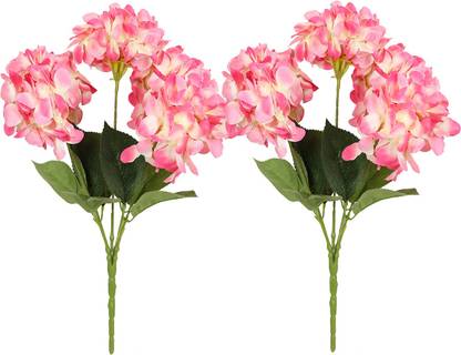 Official Flower Of Rajasthan | Best Flower Site