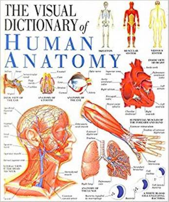 Visual Dictionary Of The Human Anatomy: Buy Visual Dictionary Of The ...