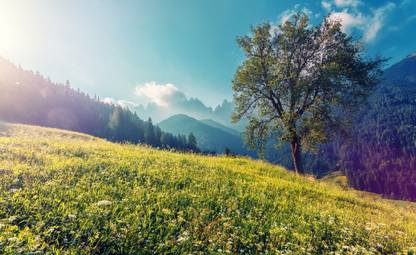 very beautiful amazing scenery |Wall Poster Sticker|Motivational Poster ...