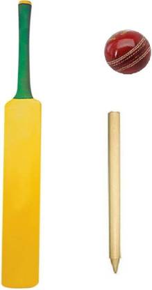 R S leather ball bat and 1 wicket Cricket Kit - Buy R S leather ball ...