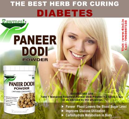 Rawmest Pure Paneer Dodi Powder 300 gm Price in India - Buy Rawmest ...