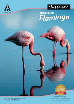 Classmate Longbook A4 Notebook Single Line 240 Pages Price in India ...