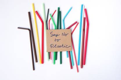 say no to plastic Paper Print - Nature posters in India - Buy art, film ...