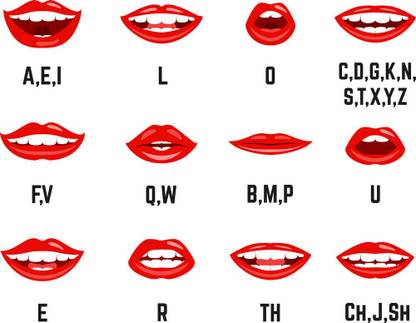mouth chart |Kids Room Posters Paper Print - Educational posters in ...