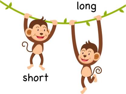 difference between short and long |poster for kids|alphabest posters ...