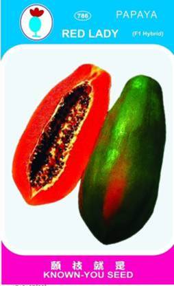 FRESH SEEDS Red lady papaya (F1) hybrid 786 seed Seed Price in India ...