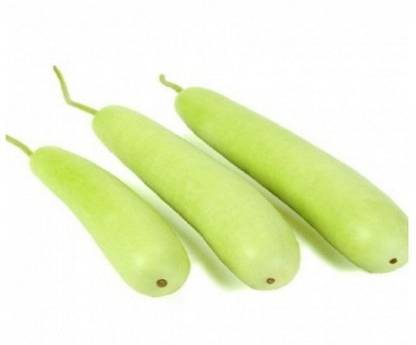 Amazing GHIYA Seed Price in India - Buy Amazing GHIYA Seed online at ...