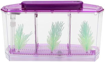 VENY'S Triple Betta tank | Triple Divider Rectangle Aquarium Tank Price ...