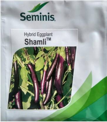 seminis eggplant Seed Price in India - Buy seminis eggplant Seed online ...