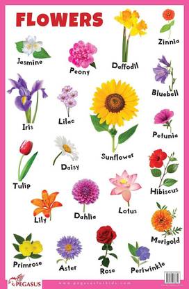 Flowers Educational Chart: Buy Flowers Educational Chart by Pegasus at ...