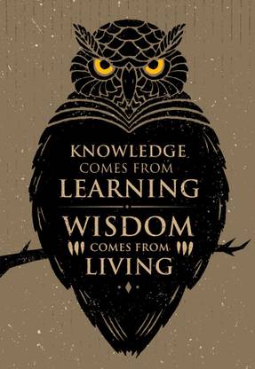 knowledge comes from learning |Motivational Poster|Inspirational Poster ...