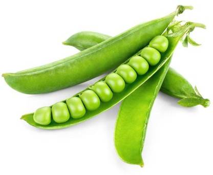 XOLDA Organic Green peas (mutter) Seed Price in India - Buy XOLDA ...