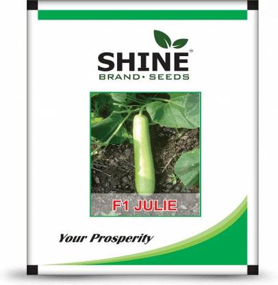 SHINE BRAND SEEDS Bottle Gourd, Loki Seed Price in India - Buy SHINE ...