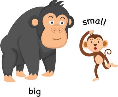 difference between big and small learning charts for kids premium ...