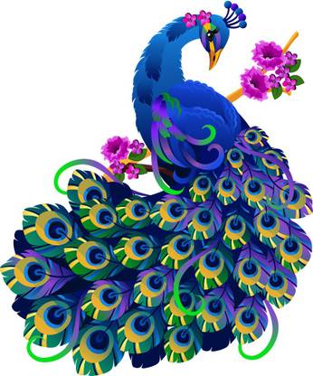 god & god's 61 cm Beautiful Peacock 700 Self Adhesive Sticker Price in ...
