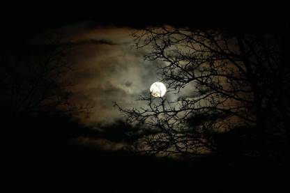 KD Moonlight at night Sticker Poster|Night Moon poster|Nature posters ...