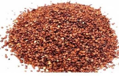 Nature Green LAJWANTI SEEDS, LAJVANTI BEEJ, CHUI MUI, MIMOSA PUDICA ...