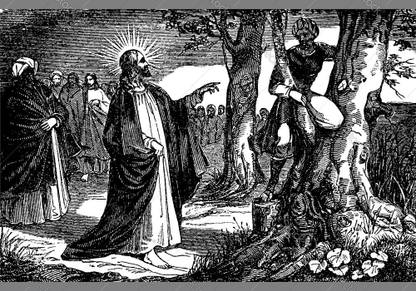 Jesus speaks to zacchaeus god posters christian religious jesus poster ...