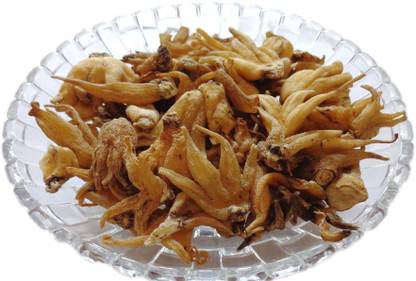 ORGANIC HERBS SALAM PANJA, SALAB PANJA Seed Price in India - Buy ...