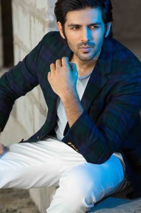 Bollywood Poster|Kartik Aaryan|Celebrity Poster| Decorative Poster-High ...