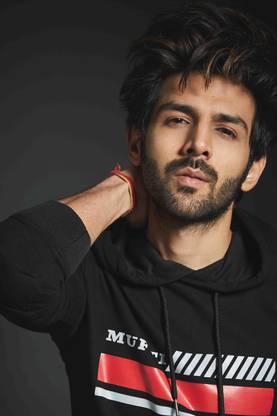 Bollywood Poster|Kartik Aaryan|Celebrity Poster| Decorative Poster-High ...