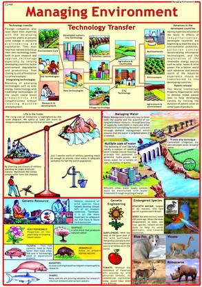 Environment Chart - Managing Environment Photographic Paper ...