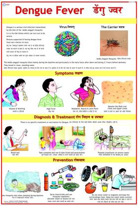 Dengue Chart Photographic Paper - Educational posters in India - Buy ...