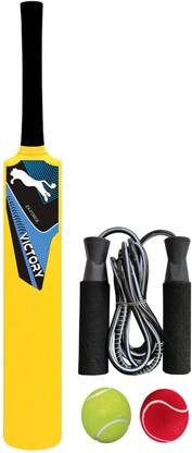 VICTORY INDIA Best Cricket Set (Full Size-6 No.) Panther -106 with ...
