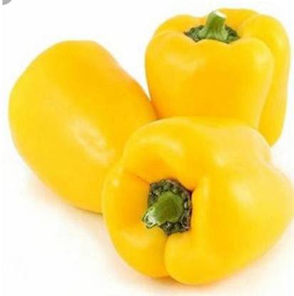 Green World IMPORTED CAPSICUM YELLOW/ PILLI SIMLA MIRCHI SEEDS FOR ...