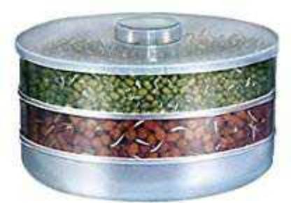 RAINBOW CLUB Plastic Sprout Maker Box | Hygienic Sprout Maker with 3 ...