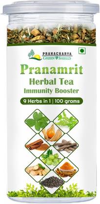 Pranacharya Pranamrit Herbal Tea with Tulsi, Giloy, Cinnamon, Turmeric ...