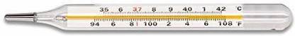 Dr. Odin Clinical Oval Mercury Thermometer for Professional and ...