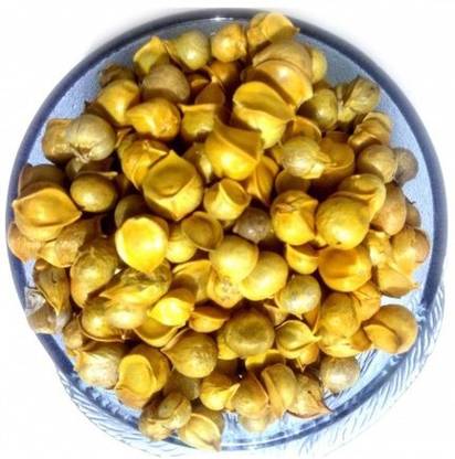 Nature Green KASHMIRI LEHSUN - SNOW MOUNTAIN GARLIC Seed Price in India ...