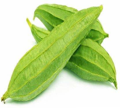 Qualtivate ™ Ridge Gourd Hybrid Vegetable Seeds -Tori-Luffa-Jhinga Seed ...