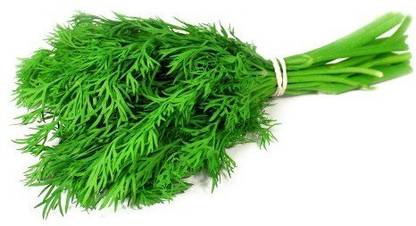 Paudha Organic Soya Dill Plant Seed Price in India - Buy Paudha Organic ...