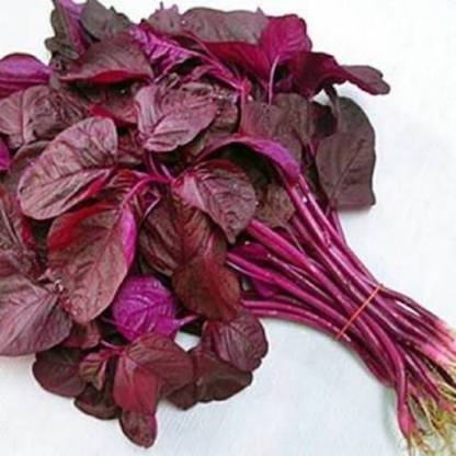 Antier AMARANTHUS RED CHOULI JEWEL Seed Price in India - Buy Antier ...