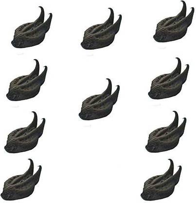 PMW GURUJI KIT SEEDS, BATHEAD ROOTS, EVIL POD, DEVIL POD - 10 pcs Seed ...