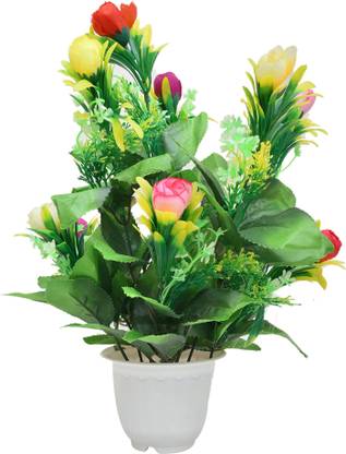 Yash Enterprises Multicolor Small Kali Flower Pot Bonsai Wild ...